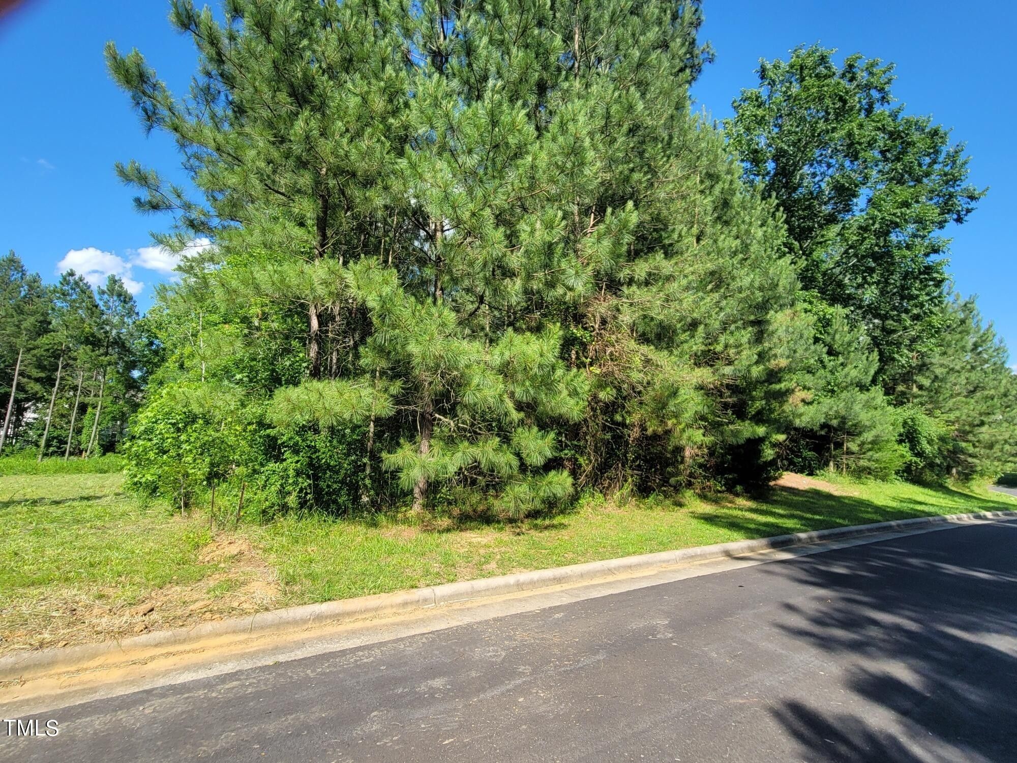 93 Bur Oak Court, Pittsboro, NC 27312 | MLS: 10032850 | Land.com