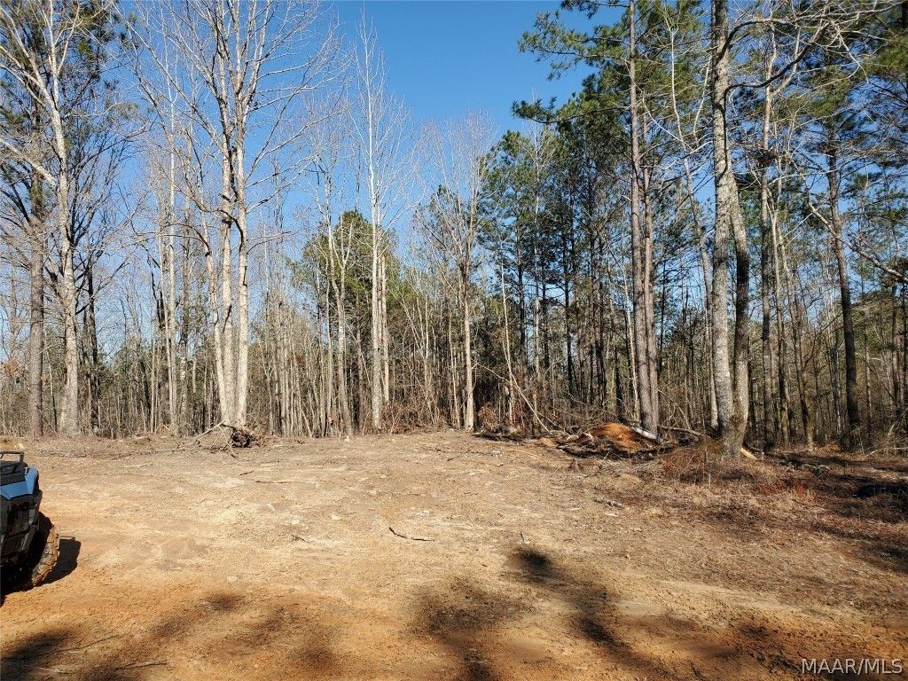 1375 Bethlehem Road, Equality, AL 36096 | MLS: 558490 | Land.com