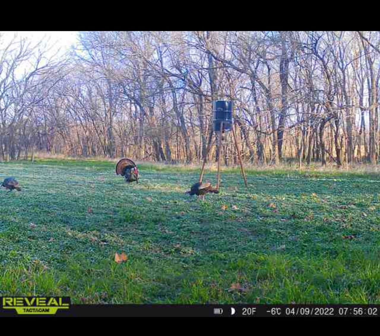 Kiowa Rd, Parsons, KS 67357 | Land.com