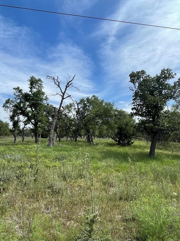 Lot 20 Scott Branch Rd, Harper, TX 78631 | MLS: 90688 | Land.com