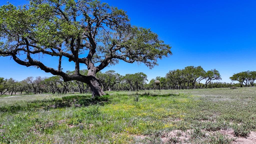 00 Hwy 83, Menard, TX 76859 | MLS: 90934 | Land.com