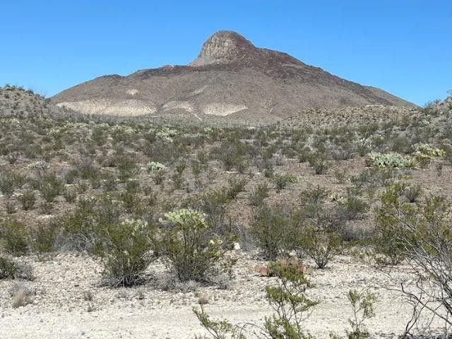 21553 Black Peak, Alpine, TX 79830 | MLS: 151148 | Land.com