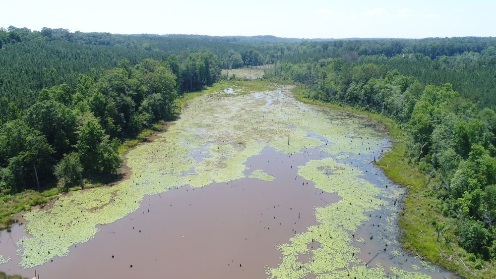 Live Oak Rd, Petrey, AL 36062 | Land.com