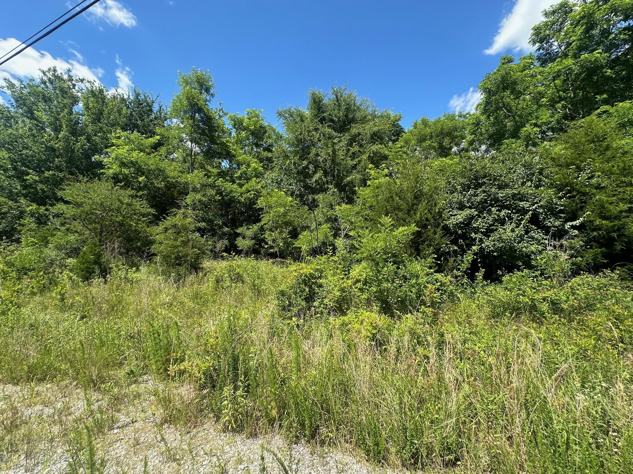 Lot 170 Teludachee Trail, South Pittsburg, TN 37380 | MLS: 1393171 ...