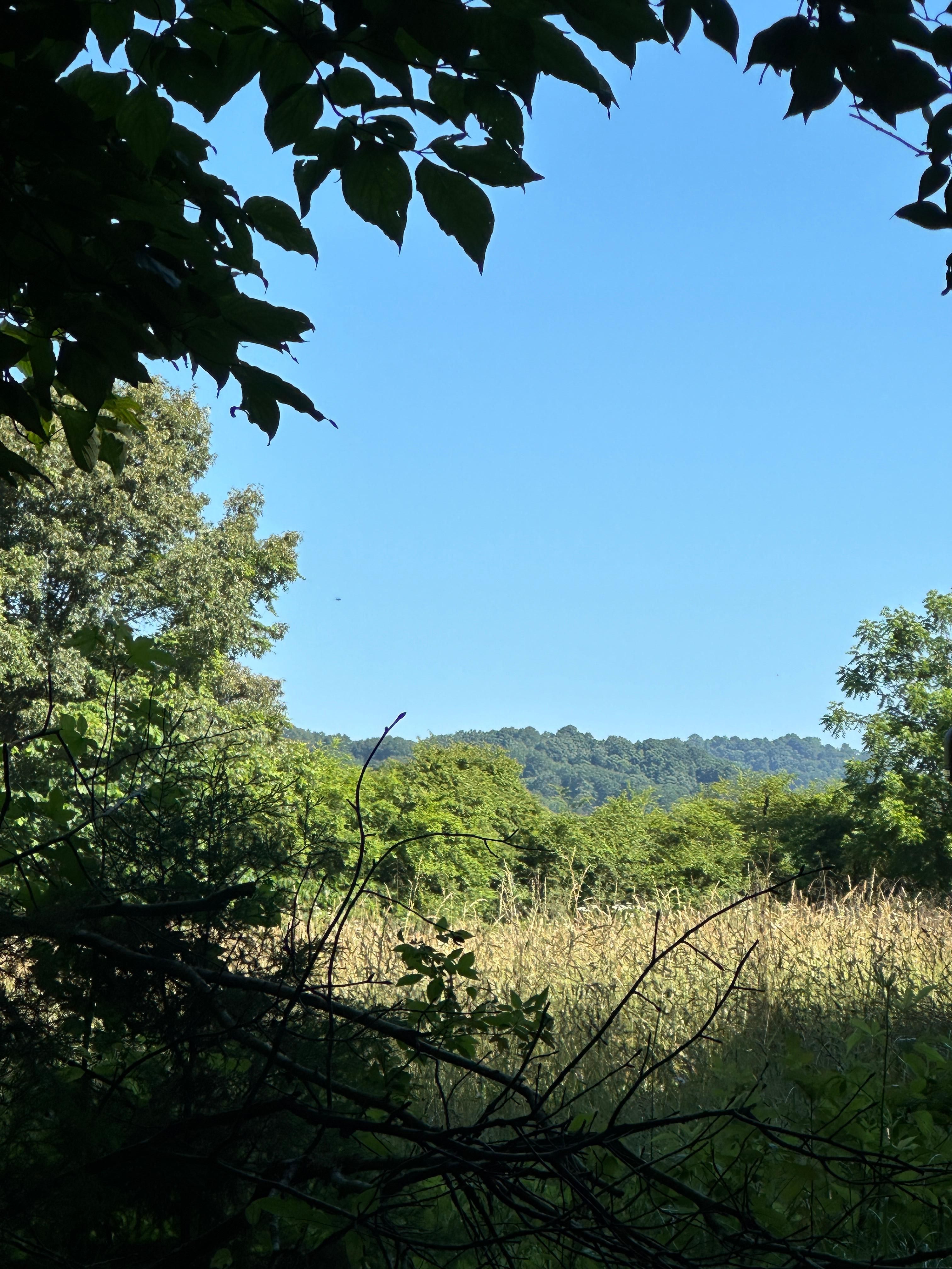 E Williams Rd, Surgoinsville, TN 37873 | Land.com