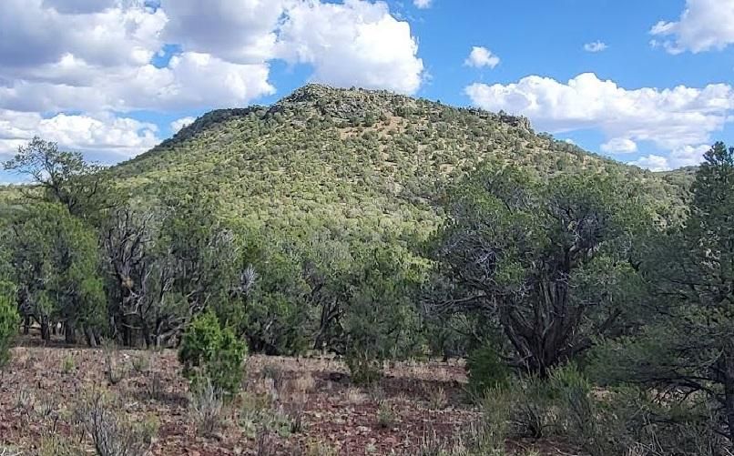 Historic Route 66, Williams, AZ 86046 | Land.com