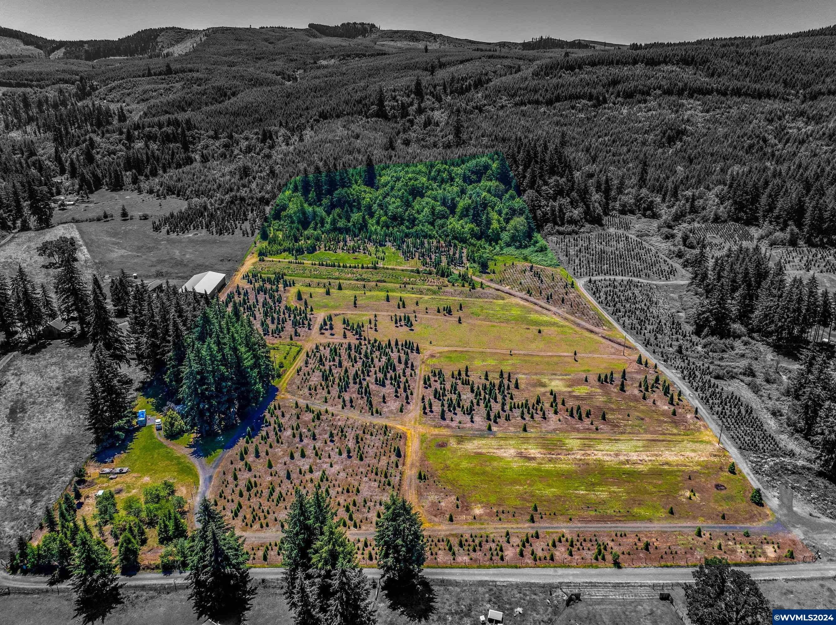 47070 Evergreen Ln, Lyons, OR 97358 | MLS: 817983 | Land.com