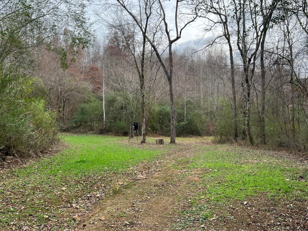 2400 CR 130, Killen, AL 35645 | Land.com