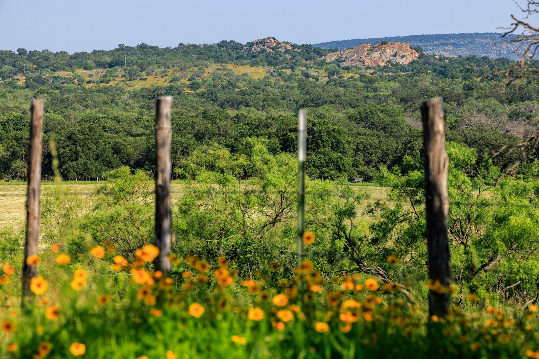 675 County Road 411A, Pontotoc, TX 76869 | Land.com