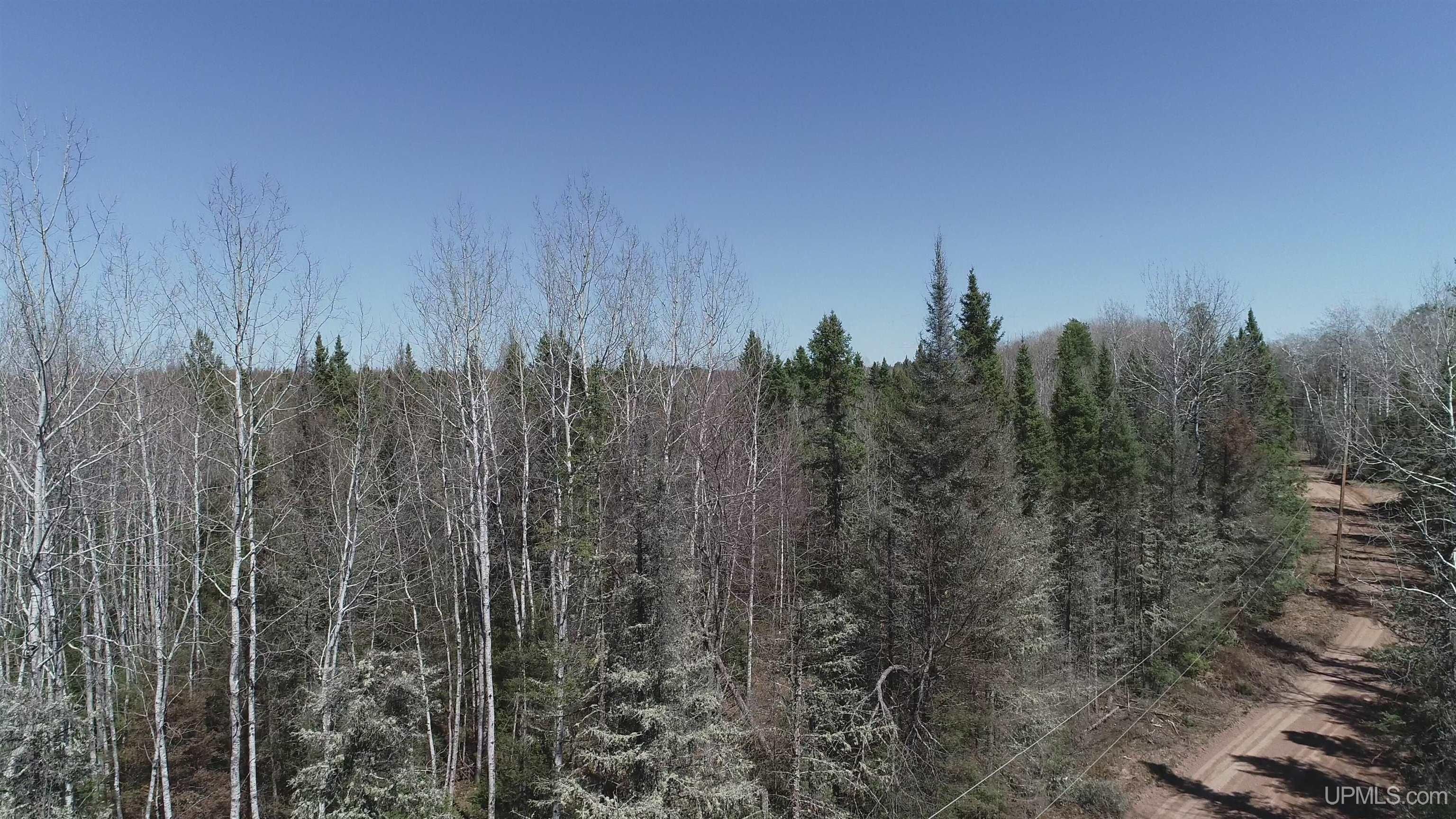 492 Acres Helen Lake, Republic, MI 49879 | MLS: 50141356 | Land.com
