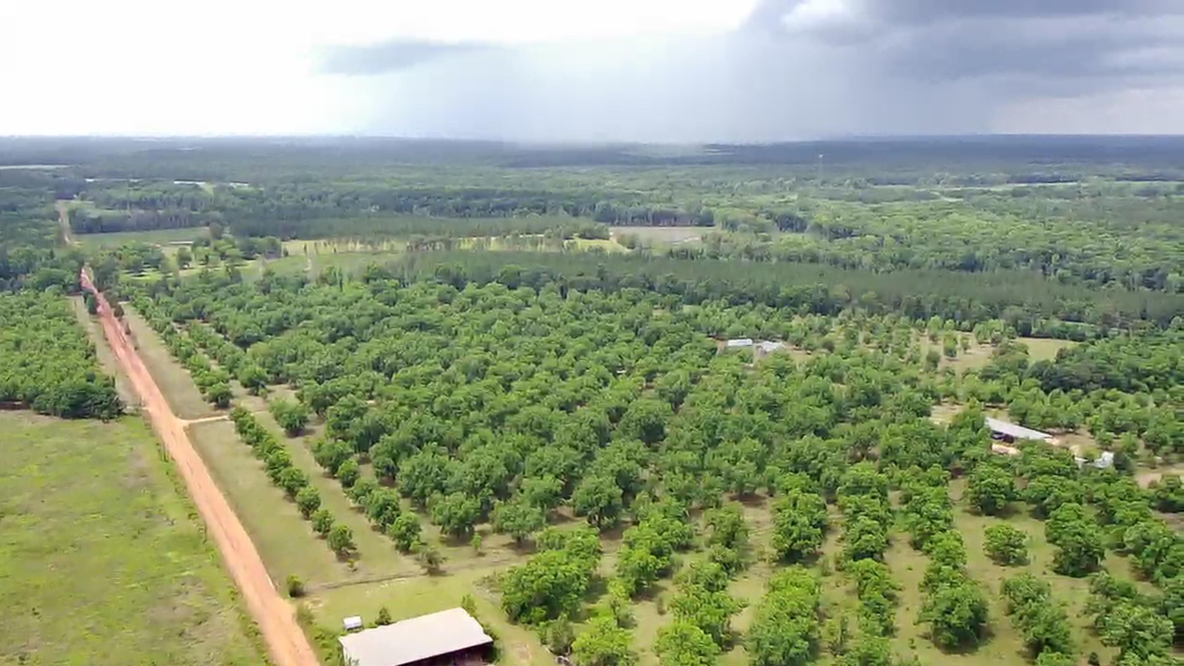 1600 Chickasaw Road, Davisboro, GA 31018 | Land.com