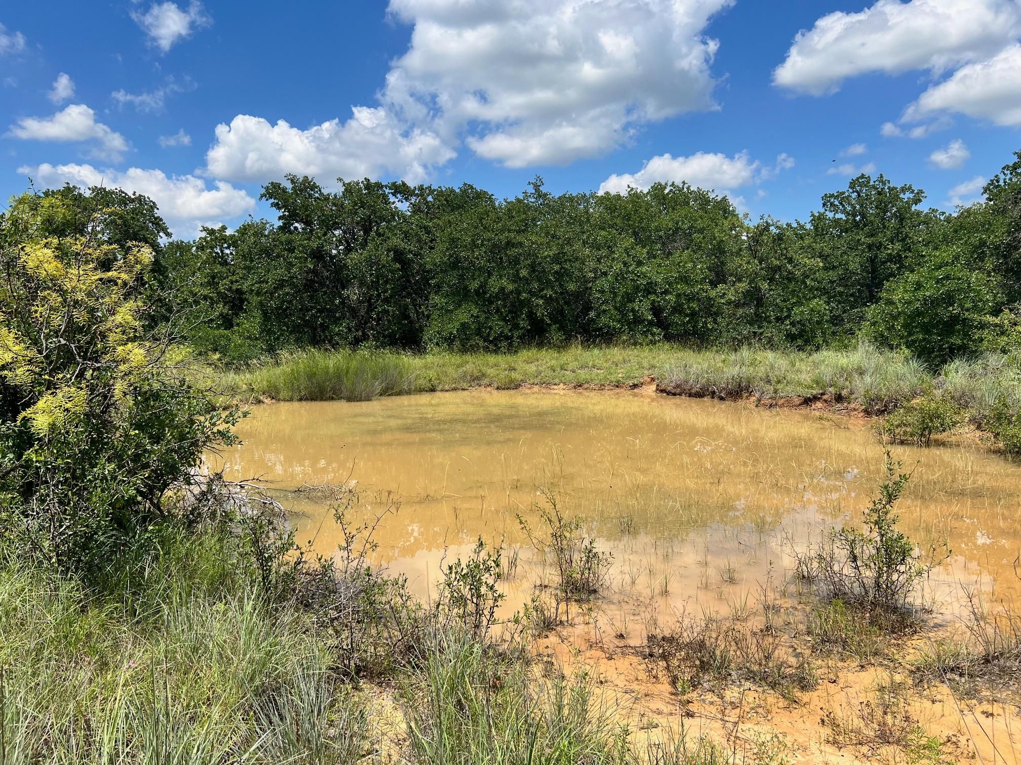 County Road 173, Sidney, TX 76474 | MLS: 20645278 | Land.com