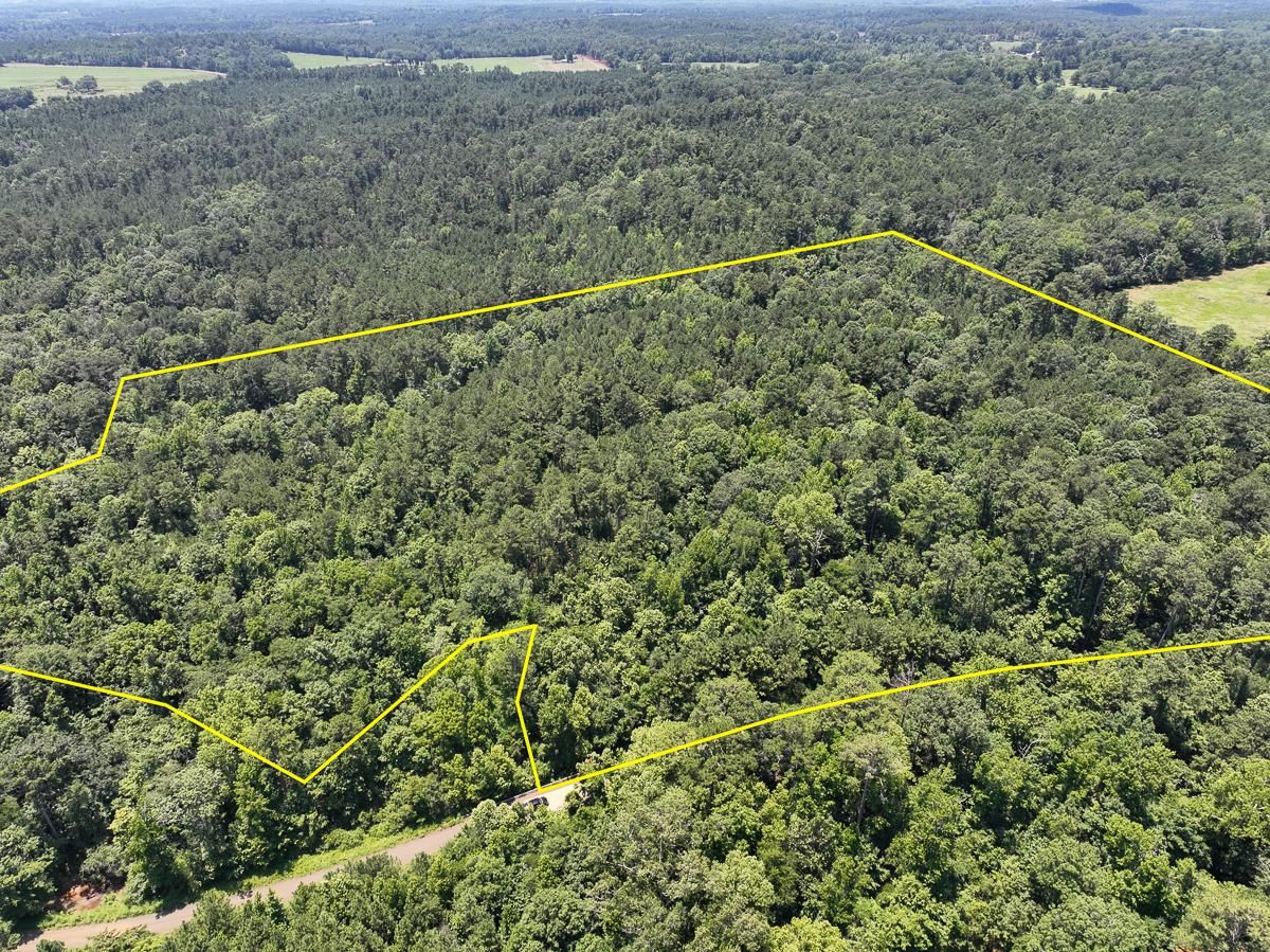 Lick Skillet Road, Geneva, TX 75959 | Land.com