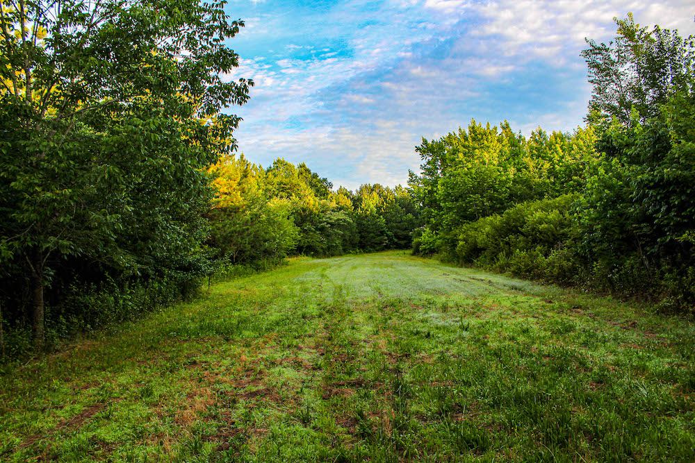 2211 Gurley Rd, Trafford, AL 35172 | Land.com