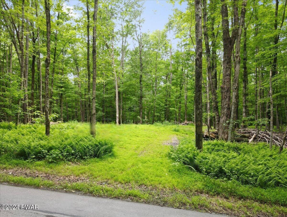 Elk Lake Drive, Waymart, PA 18472 | MLS: PW-240410 | Land.com