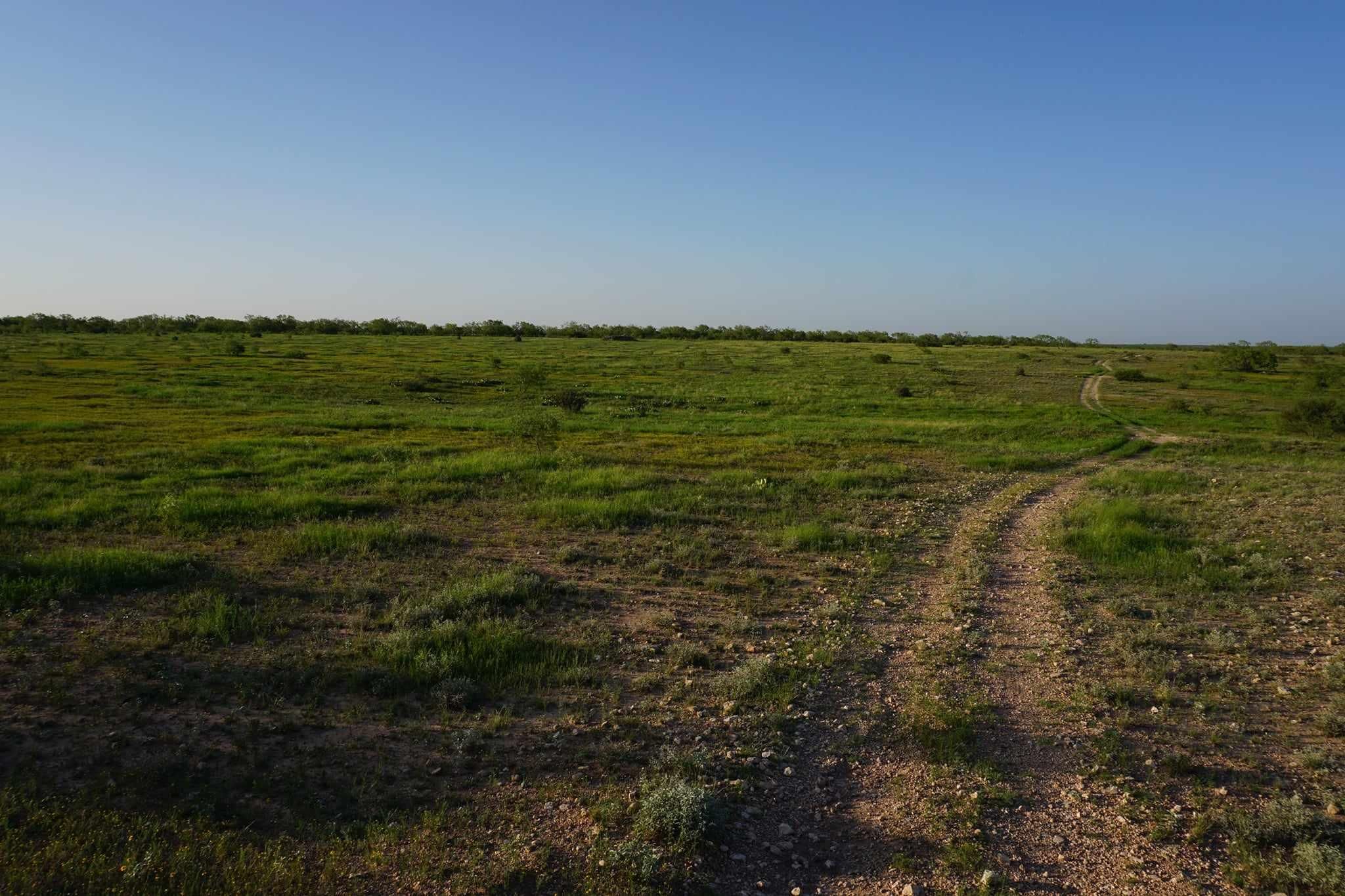 1000 County Road 293, Ballinger, TX 76821 | Land.com