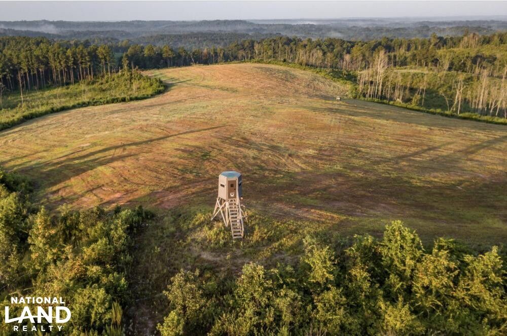 773 Chunky Duffee Rd, Chunky, MS 39323 | Land.com