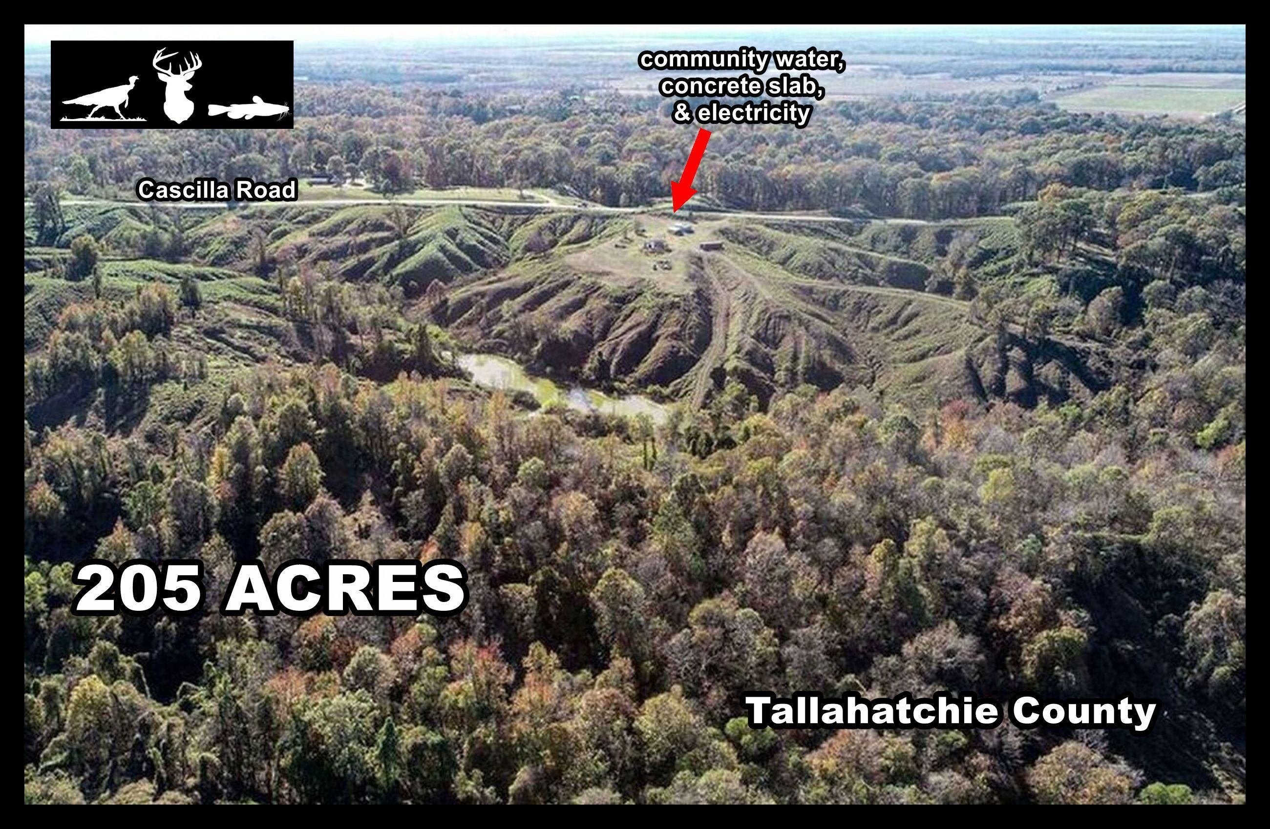 173 Cascilla Road, Cascilla, MS 38920 | Land.com