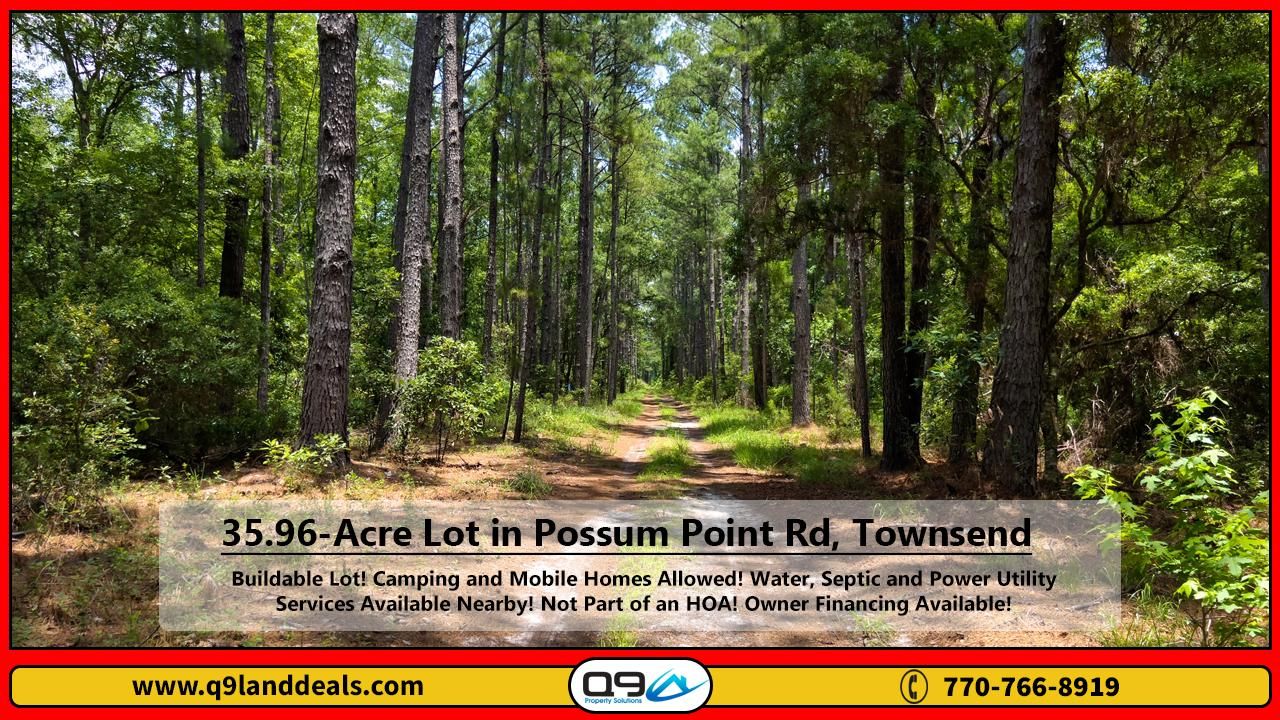 Possum Point Rd, Townsend, GA 31331 | Land.com