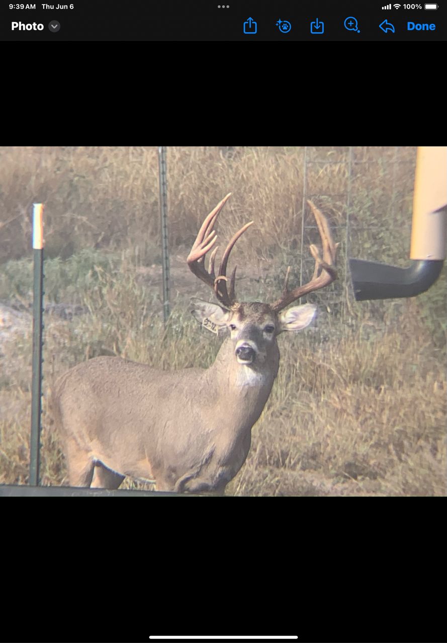 821 acres in Freer, TX, 78357 | Land.com