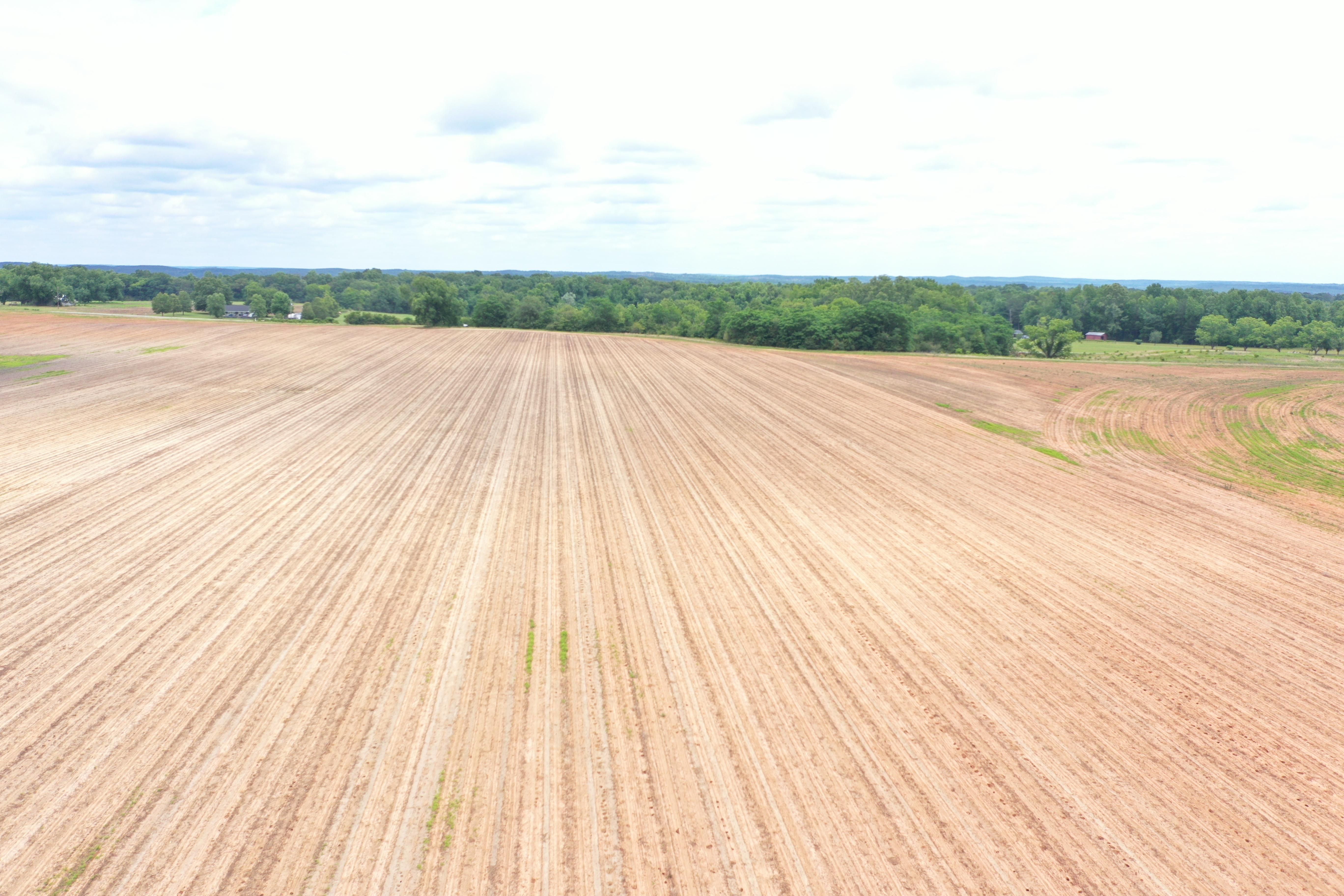 62 acres in Reynolds, GA, 31076 | Land.com