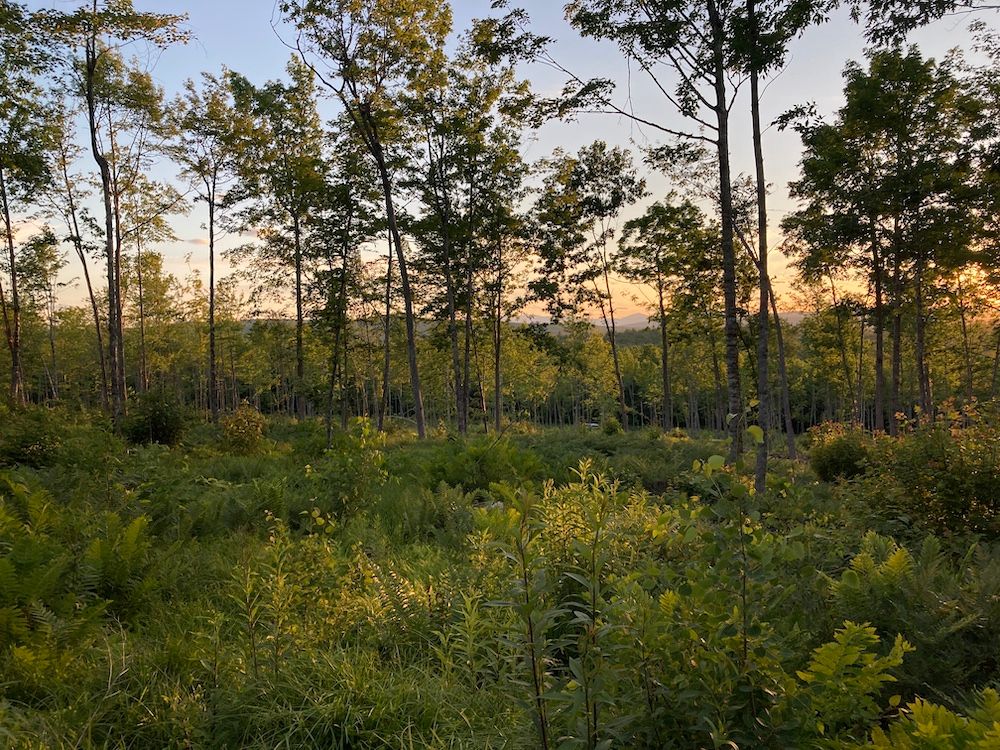 Map1Lot25-1, Solon, ME 04979 | MLS: 1583176 | Land.com