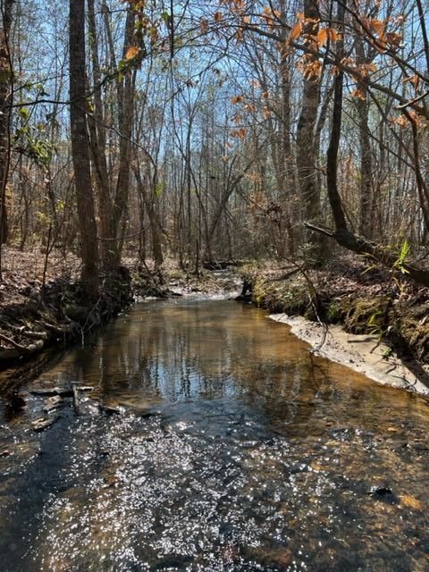 940 County Road 487, Verbena, AL 36091 | Land.com