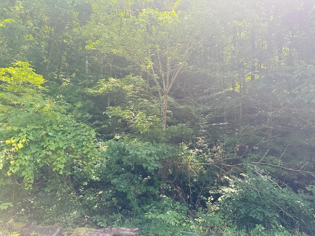 0 KY RT 3379, Grethel, KY 41631 | MLS: 122336 | Land.com