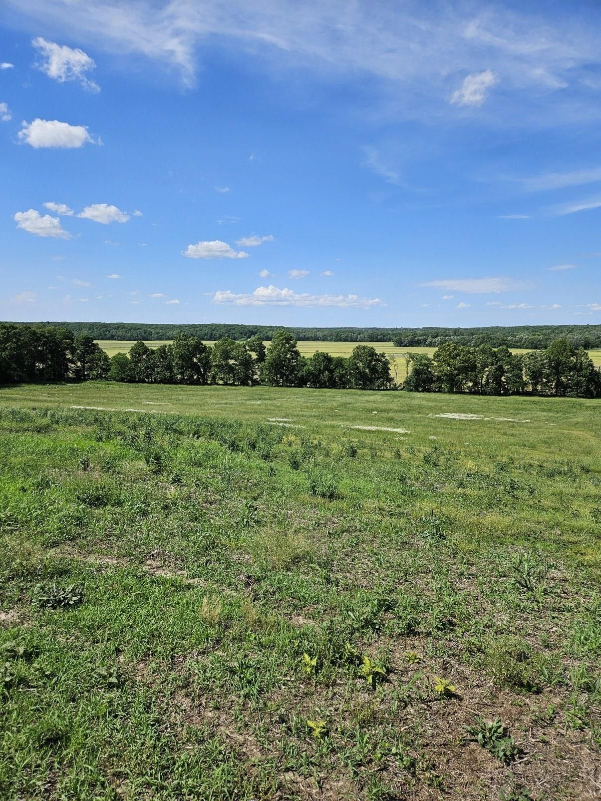 36.91 acres in Emden, MO, 63439 | Land.com