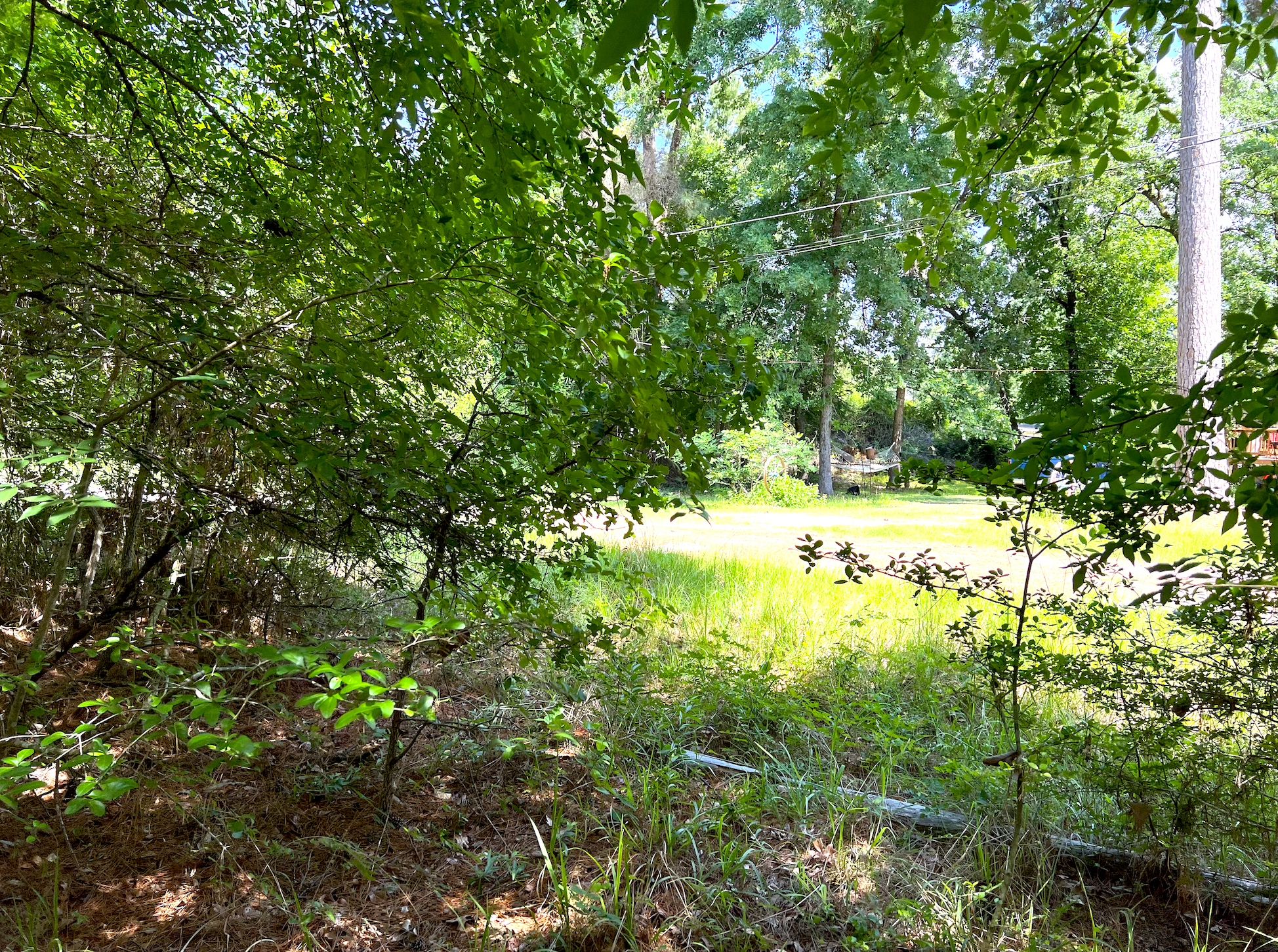 Red Hawk Drive, Trinity, TX 75862 | Land.com