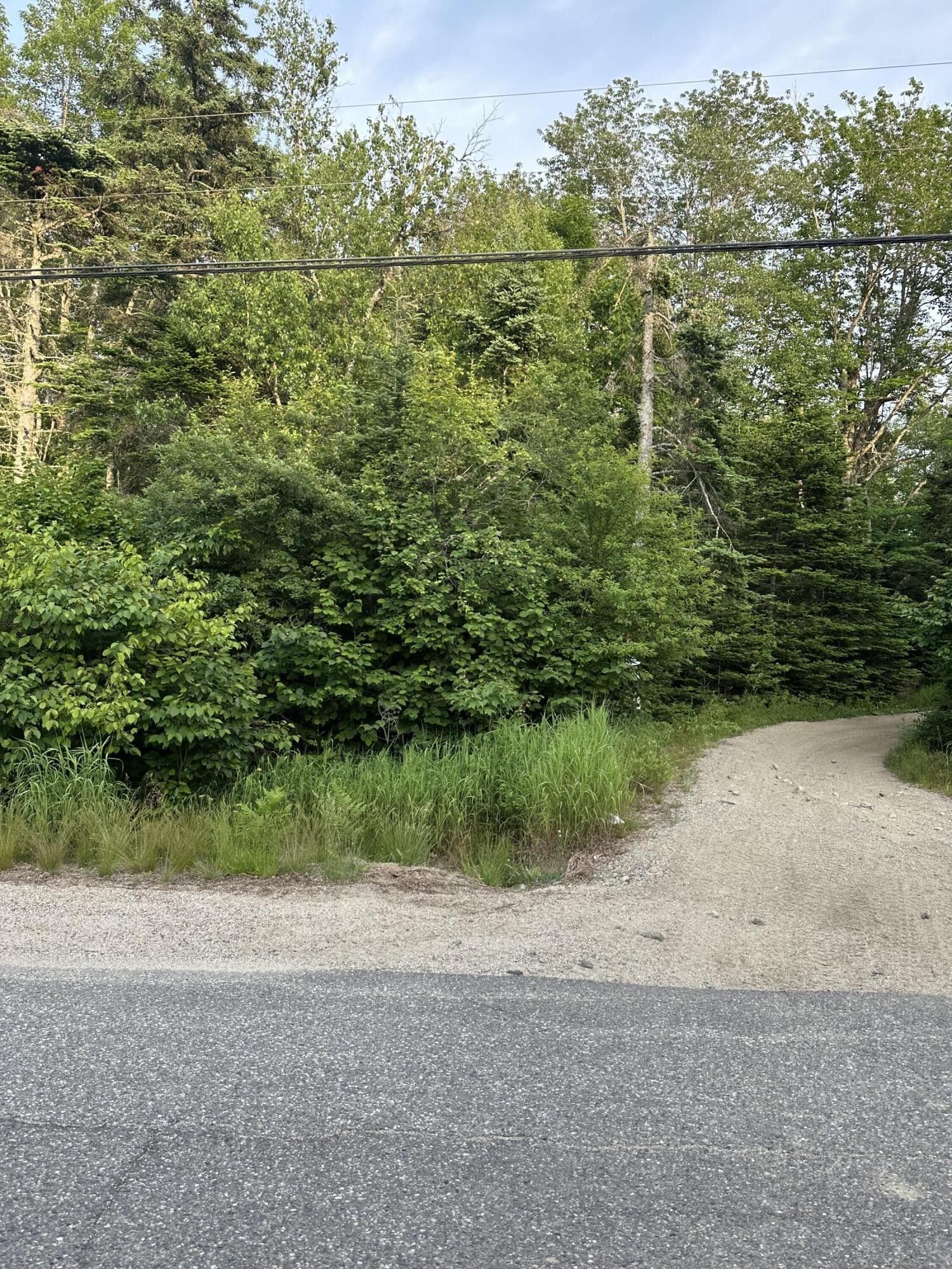 Tbd Ridge Road, Cherryfield, ME 04622 | MLS: 1594040 | Land.com