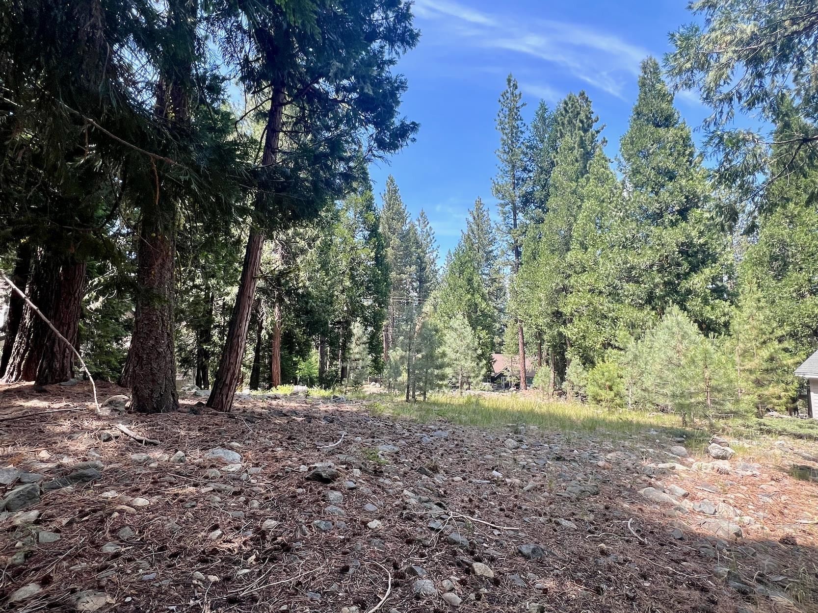 80 Paiute Trail, Graeagle, CA 96103 | MLS: 20240639 | Land.com