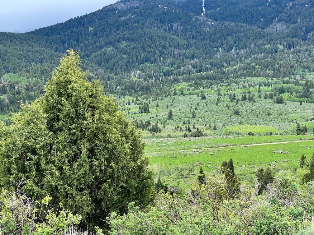 1.3 acres in Bancroft, ID, 83217 | Land.com
