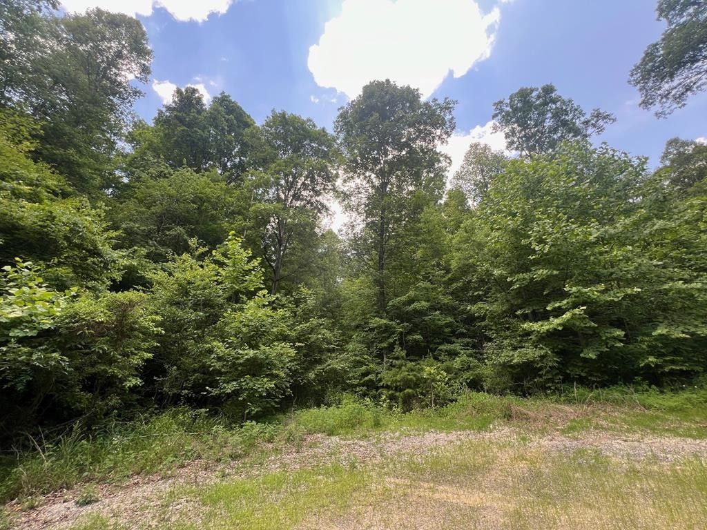180 HWY 134, Hazel Green, KY 41332 | MLS: 122358 | Land.com