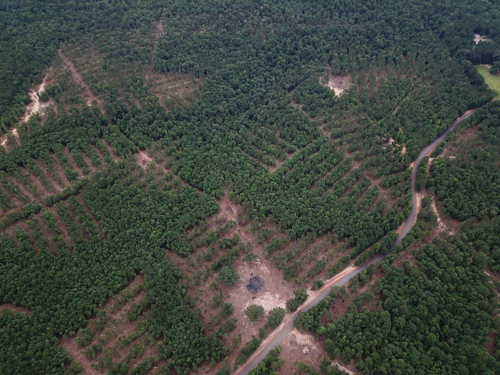 Wise road, Homer, LA 71040 | Land.com