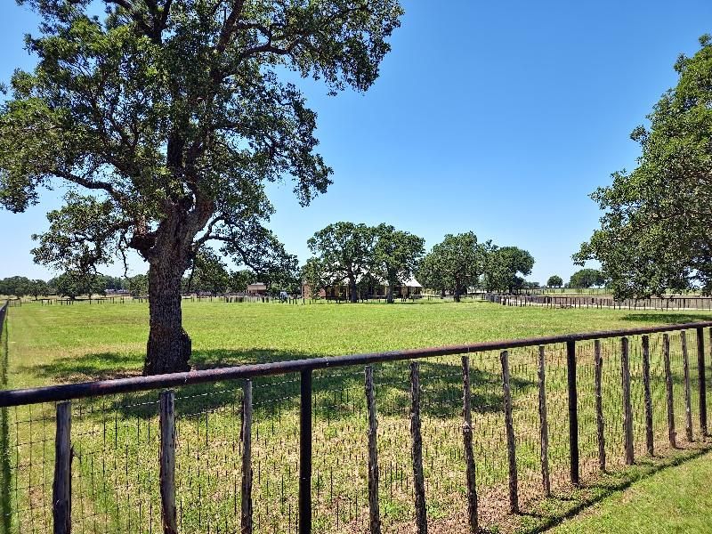 650 White Bull Lane, Millsap, TX 76066 | Land.com