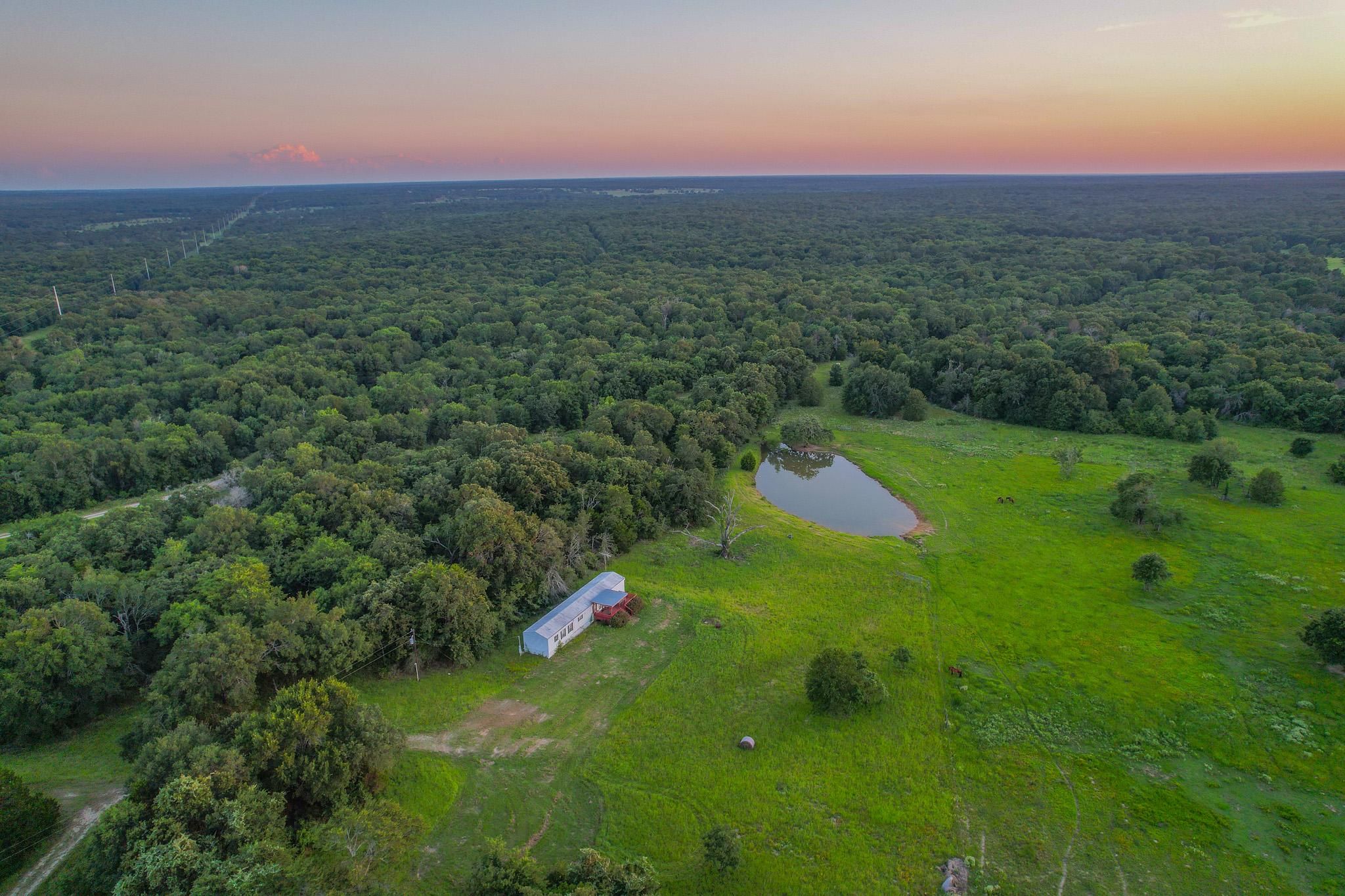 321 FCR 196, Streetman, TX 75859 | MLS: Tehuacana Sands Ranch | Land.com