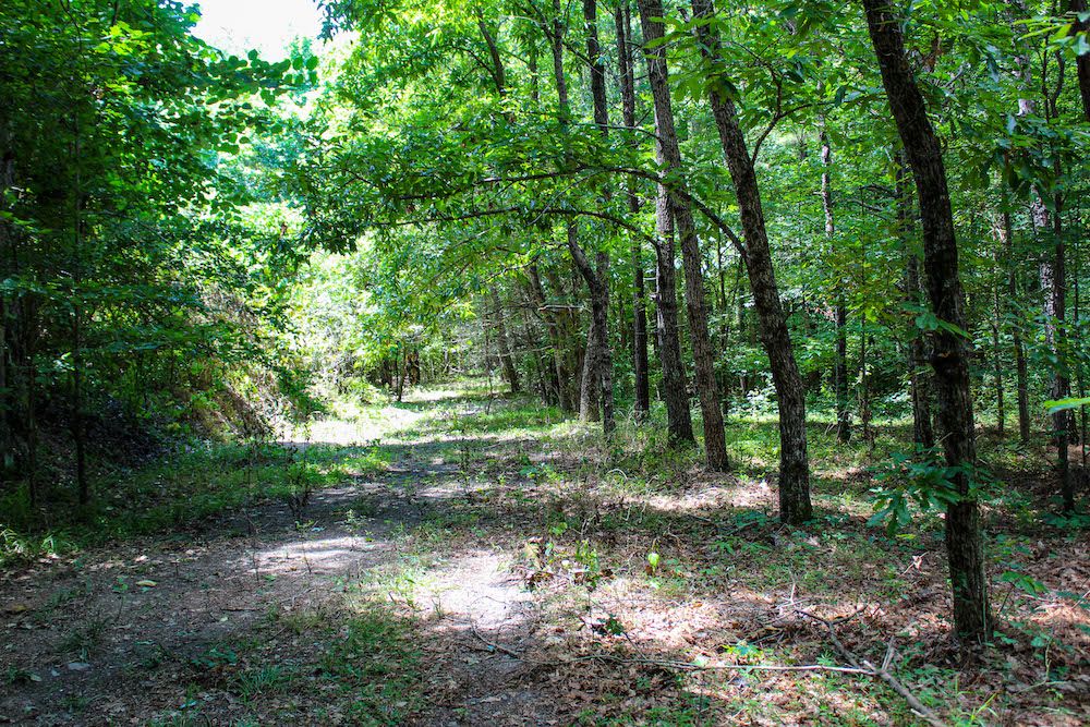 Highway 18 #3, Berry, AL 35579 | Land.com
