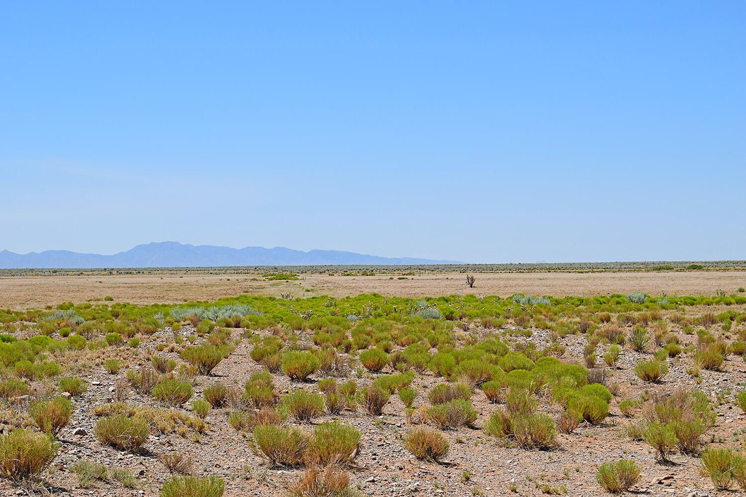 Lot 105 Rancho Rio Grande, Los Lunas, NM 87031 | MLS: 1065723 | Land.com