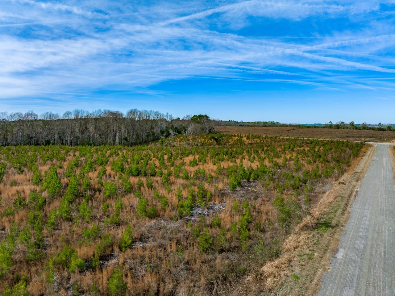 29.7 acres in Wallace, SC, 29596 | Land.com