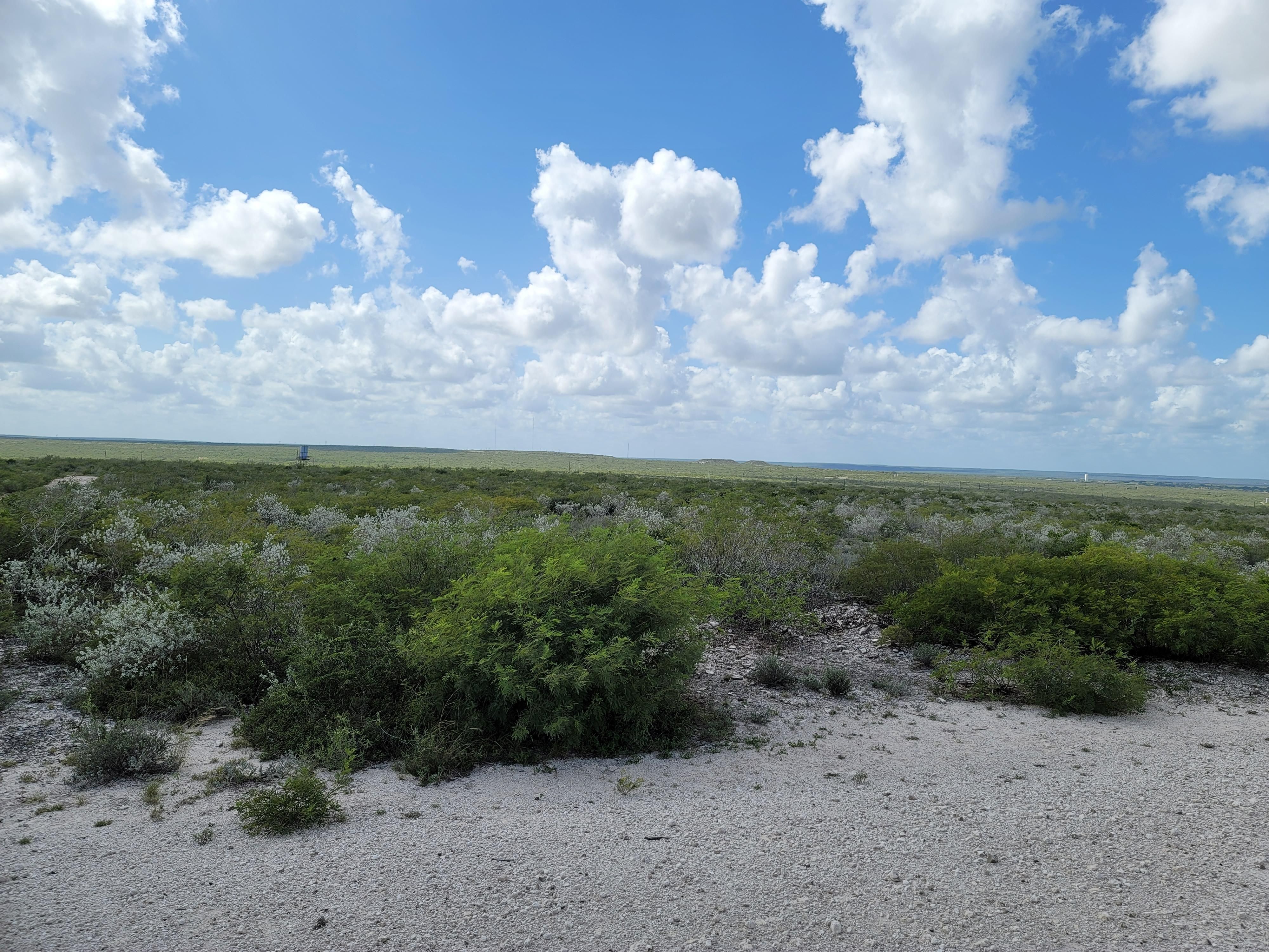 105 acres in Freer, TX, 78357 | Land.com