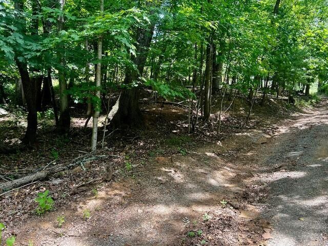 0 Ventnor RD SE, Roanoke, VA 24014 | MLS: 908777 | Land.com