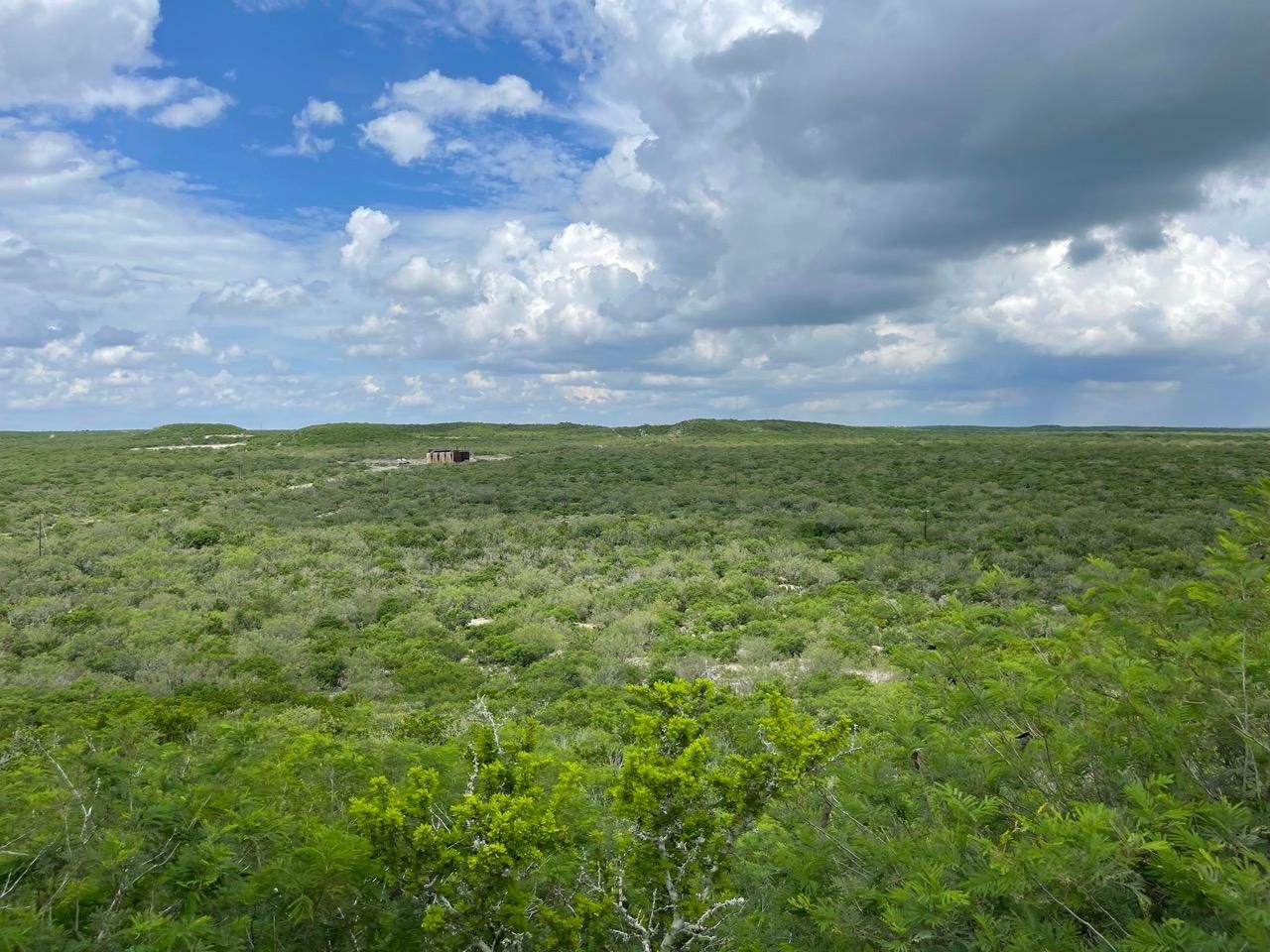 120.38 acres in Freer, TX, 78357 | Land.com