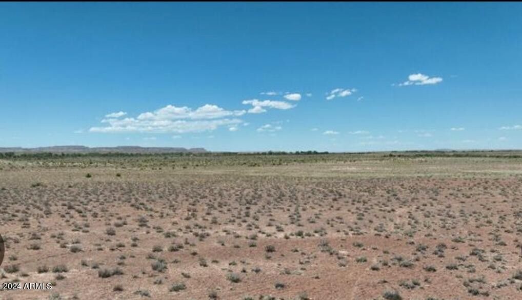 Tbd Painted Desert Ranches --, Holbrook, AZ 86025 | MLS: 6724754 | Land.com