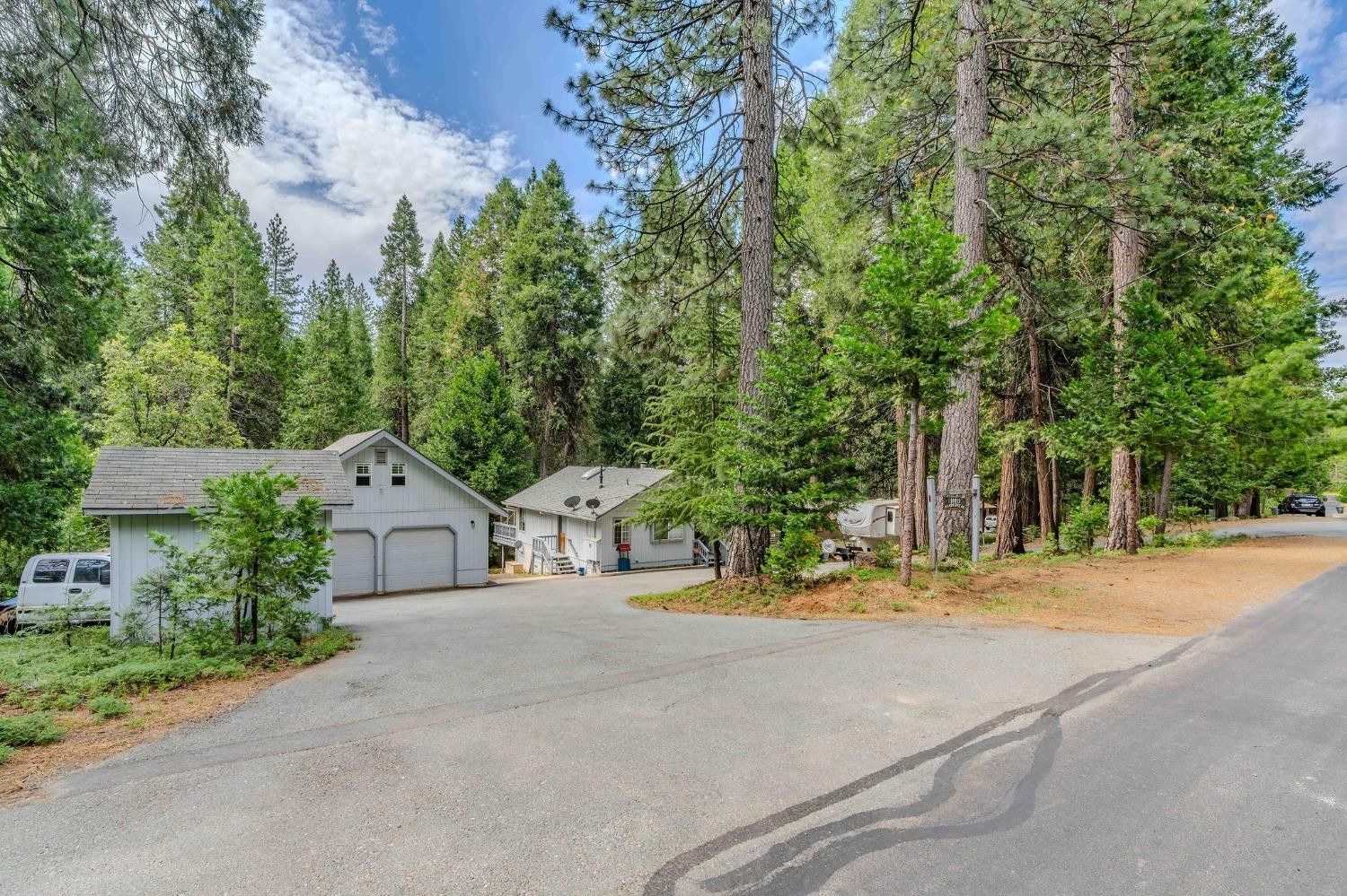19512-woodridge-drive-pioneer-ca-95666-mls-202401156-land