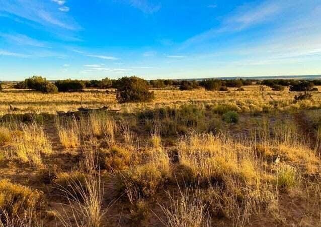 255.68 acres in Sanders, AZ, 86512 | Land.com
