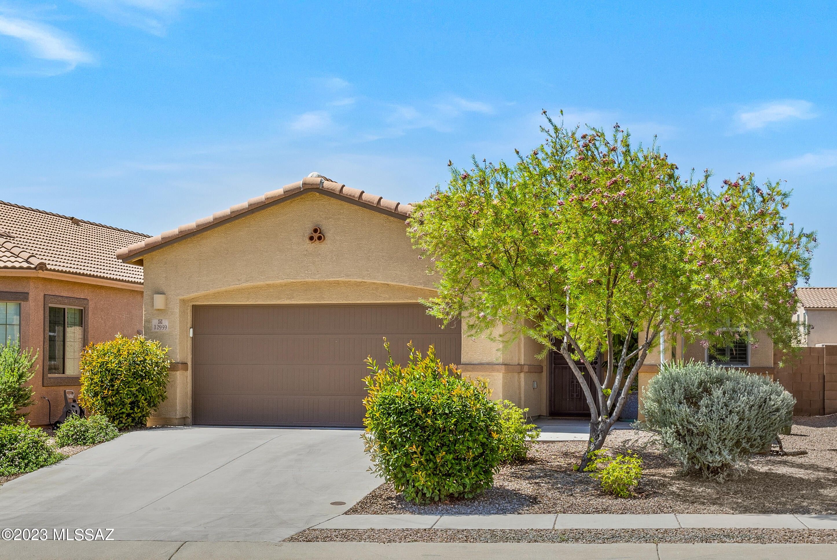12939 N Carlsbad Place, Tucson, AZ 85755 | MLS: 22416127 | Land.com