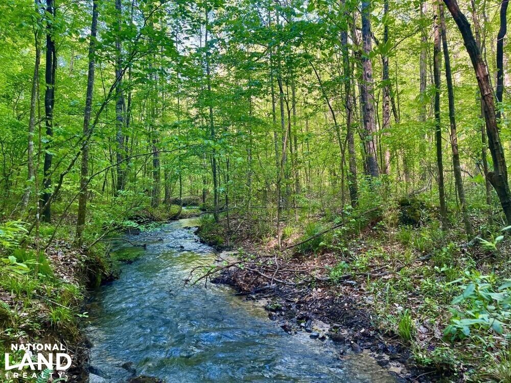 1820 Signal Valley Trail, Chelsea, AL 35043 | Land.com