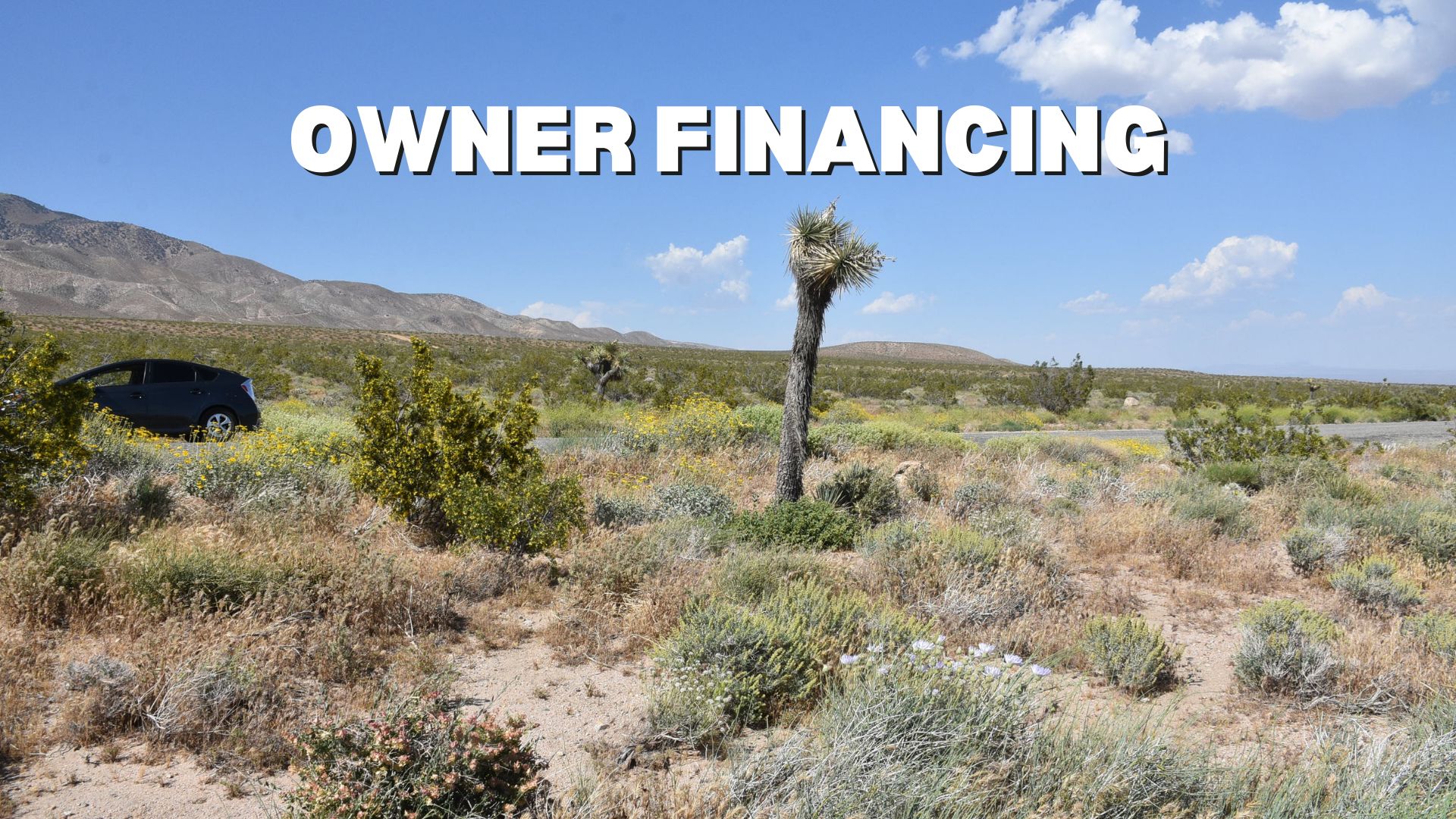 Davenport St, North Edwards, CA 93523 | Land.com