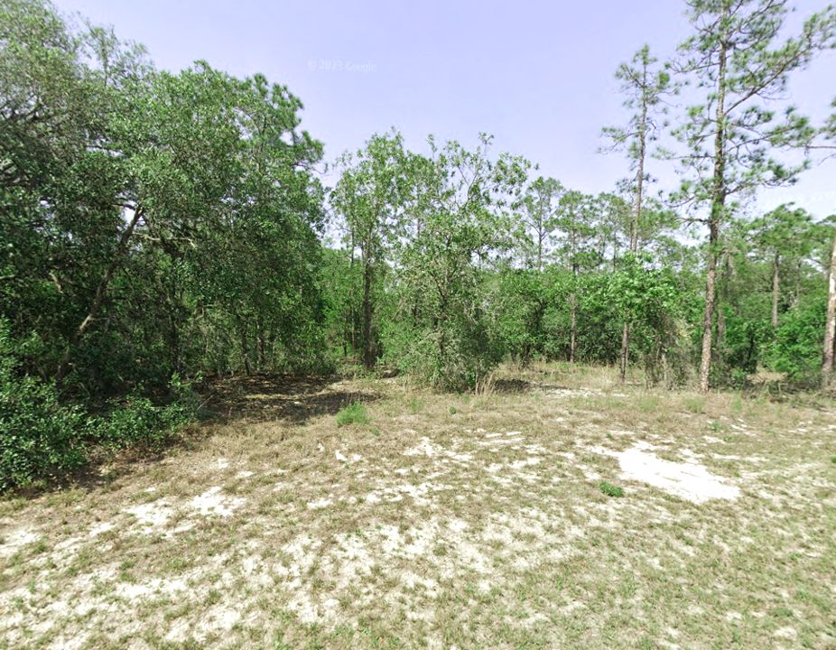 NE 236th Ln, Fort McCoy, FL 32134 | Land.com